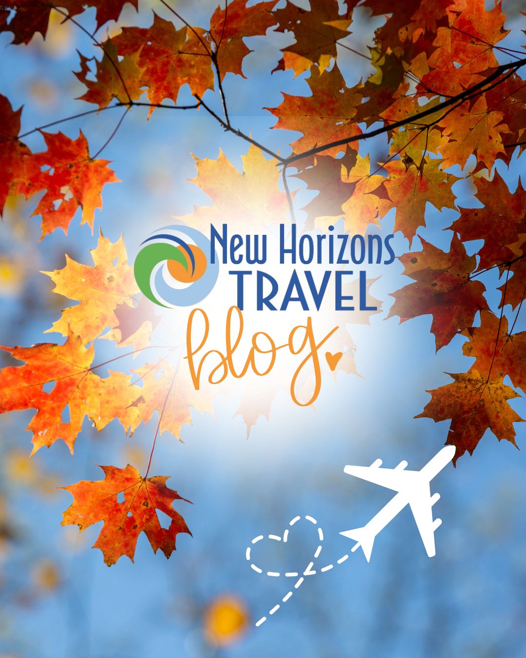 Packing Like a Pro: 7 Tips Every Traveler Should Know Before Their Next ...